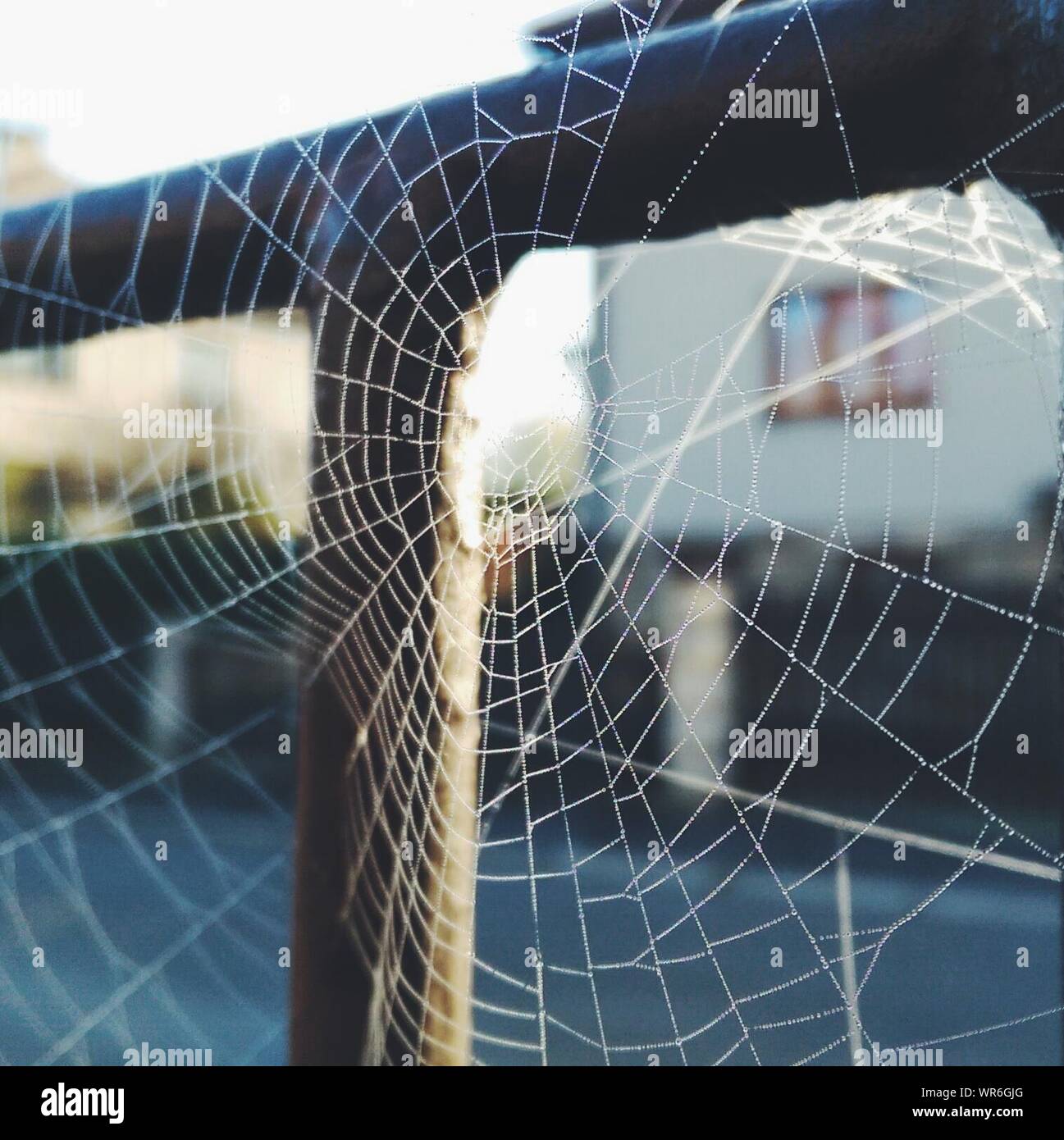 Spider On Railing High Resolution Stock Photography and Images - Alamy