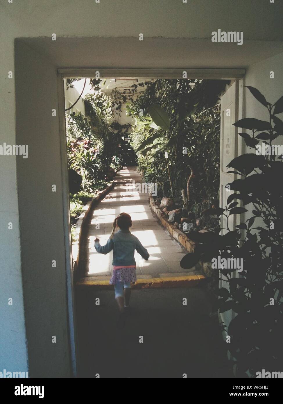 Child running on path rear view hi-res stock photography and images - Alamy