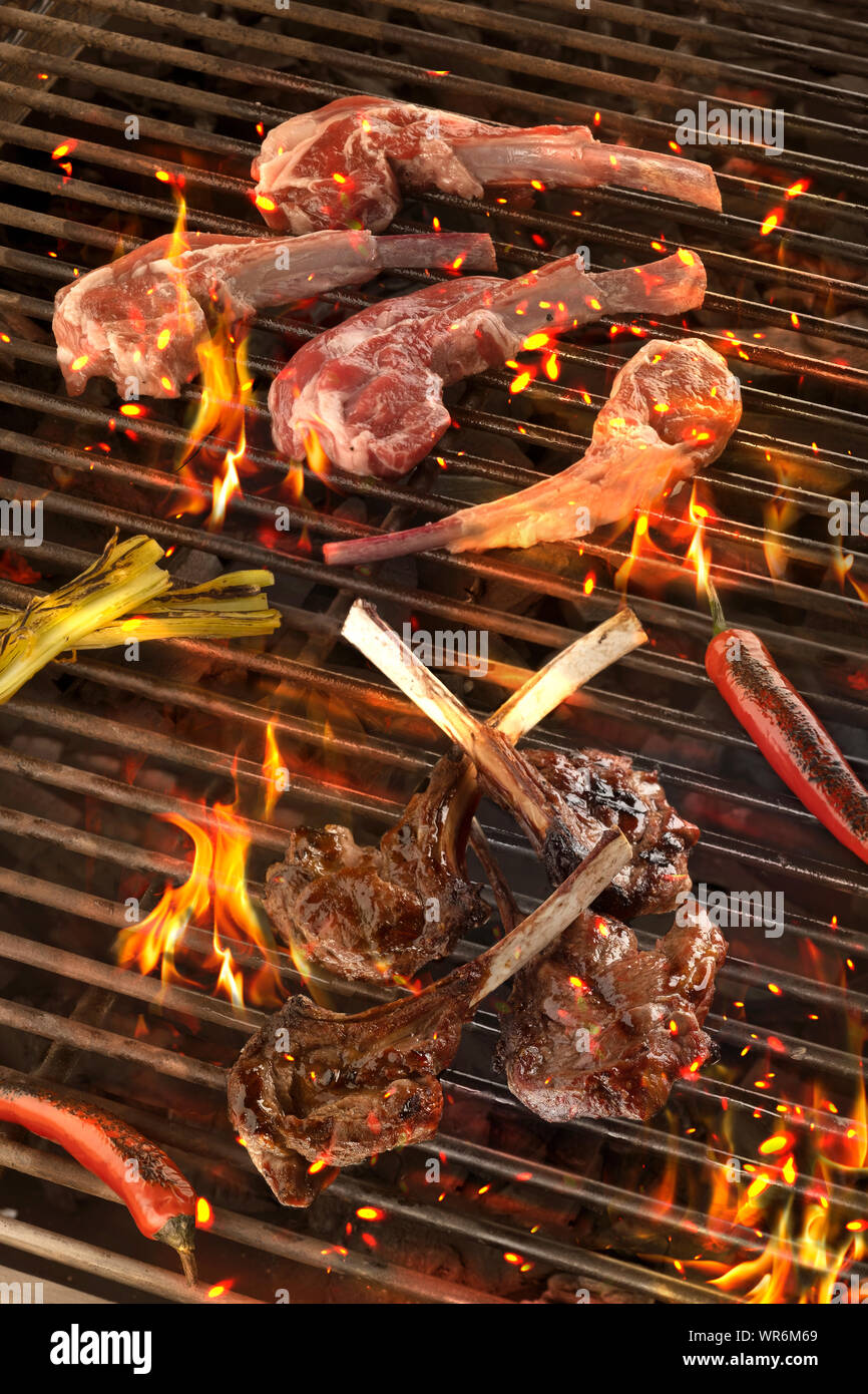 different roasting Meat and vegetables char-grilled over flame. picnic ...