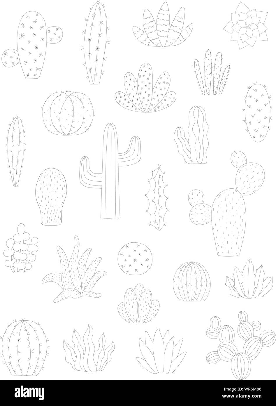 Vector Collection Of Cacti Silhouette Hand Drawn Illustration Of A