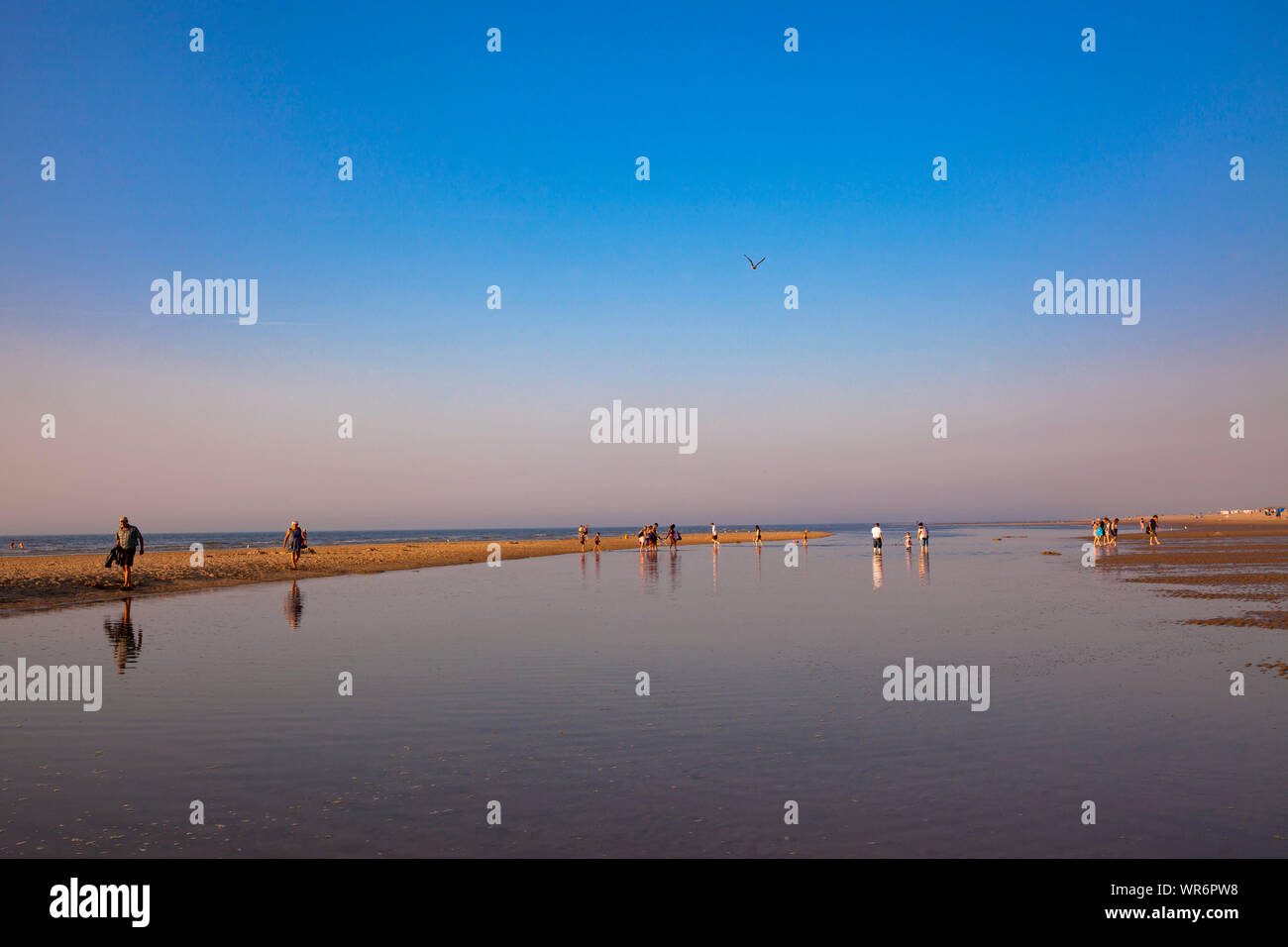a tidal flat channel at the beach in Oostkapelle on the peninsula ...