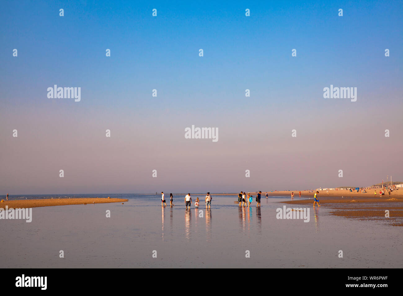 a tidal flat channel at the beach in Oostkapelle on the peninsula ...