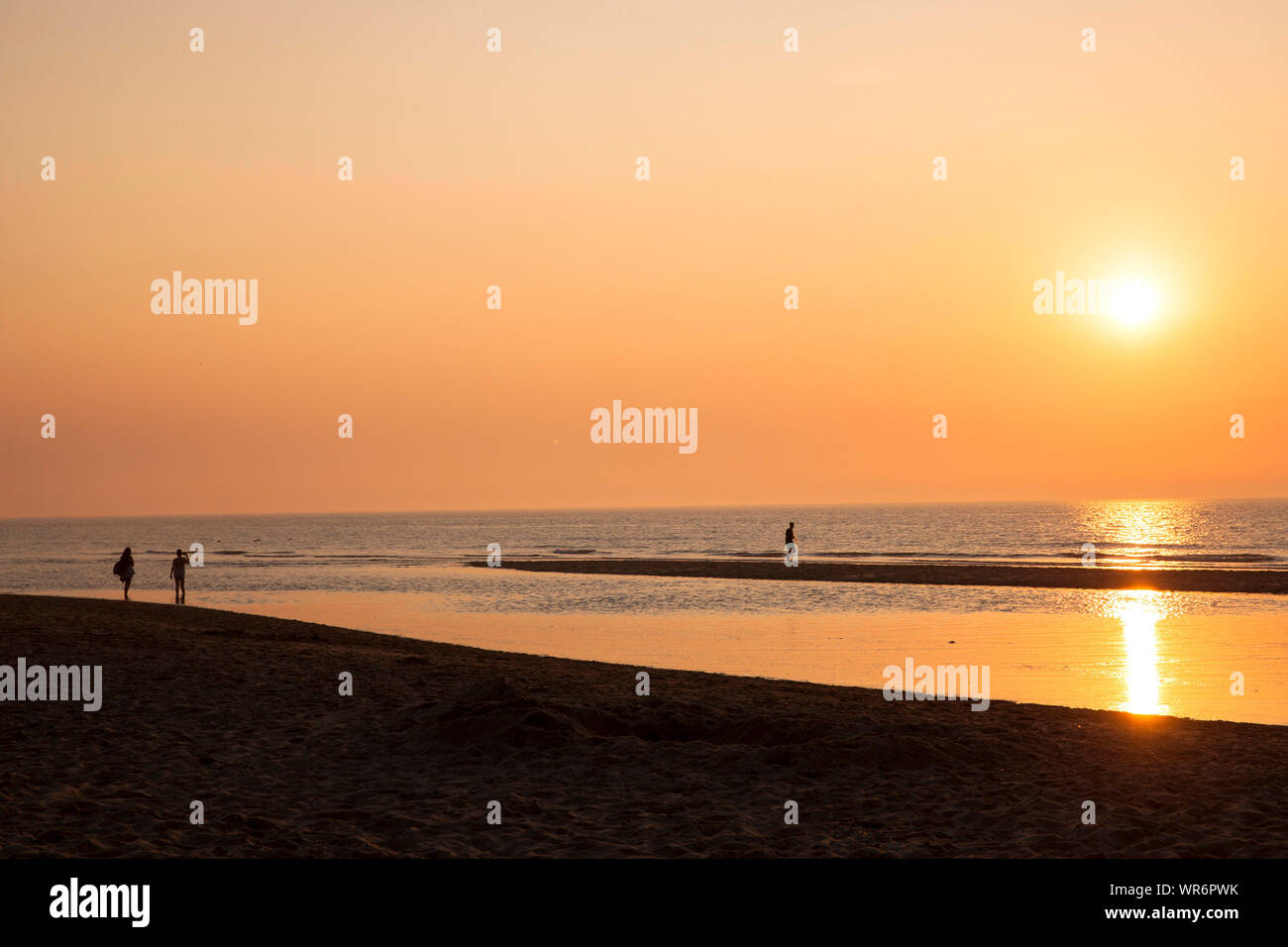 a tidal flat channel at the beach in Oostkapelle on the peninsula ...