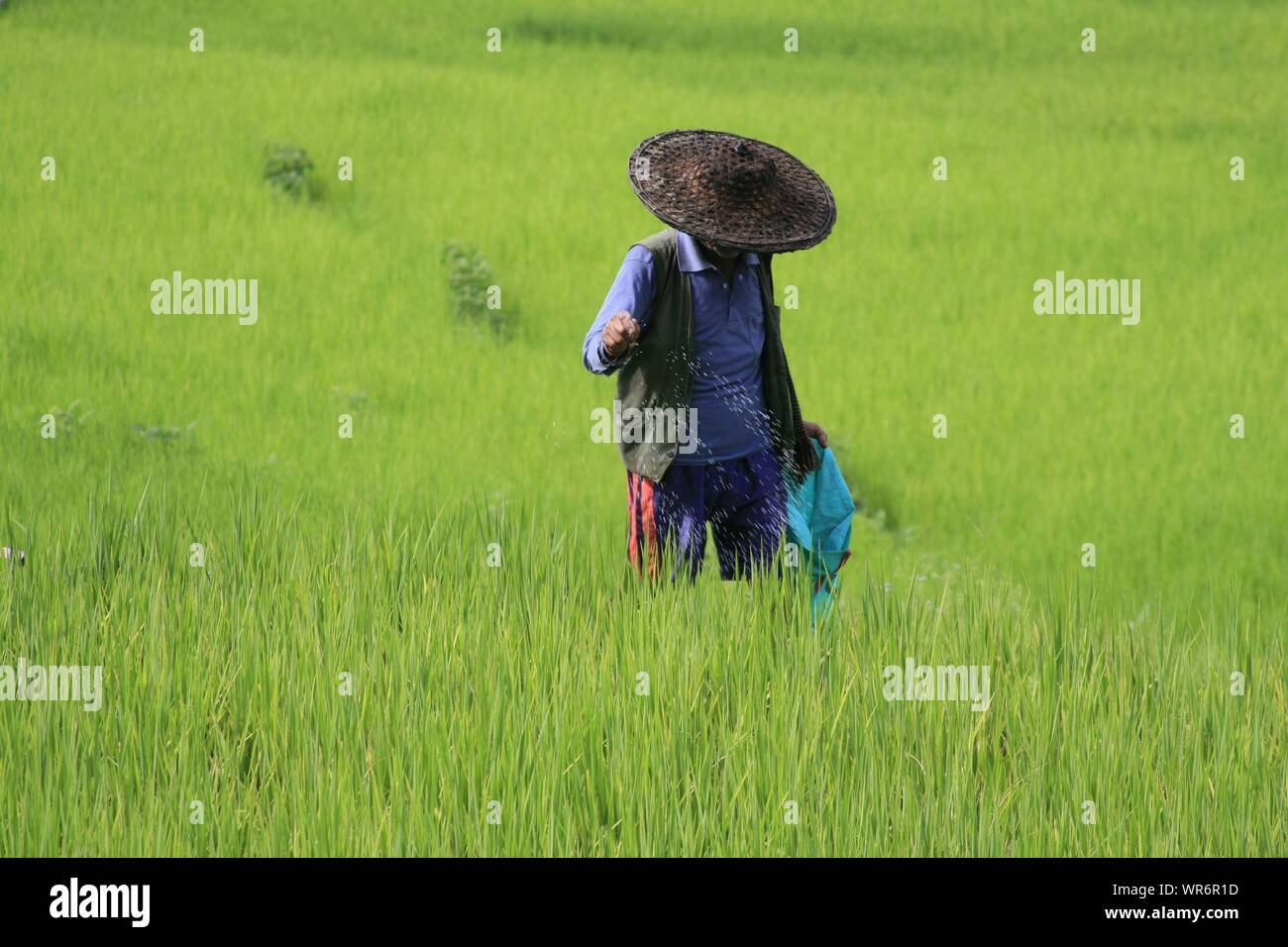 Farmer Sowing Seeds High Resolution Stock Photography and Images - Alamy
