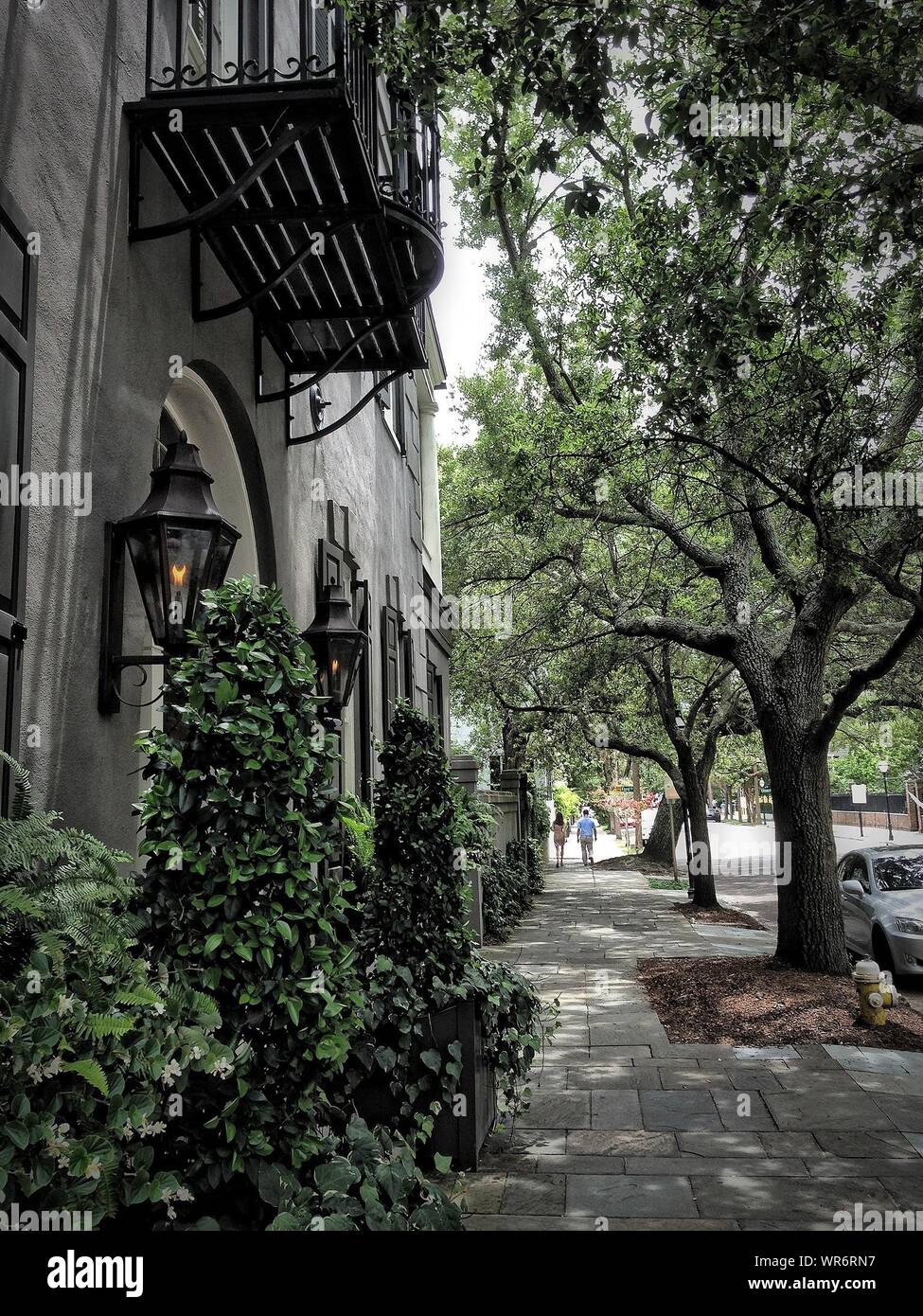 Tress way hi-res stock photography and images - Alamy