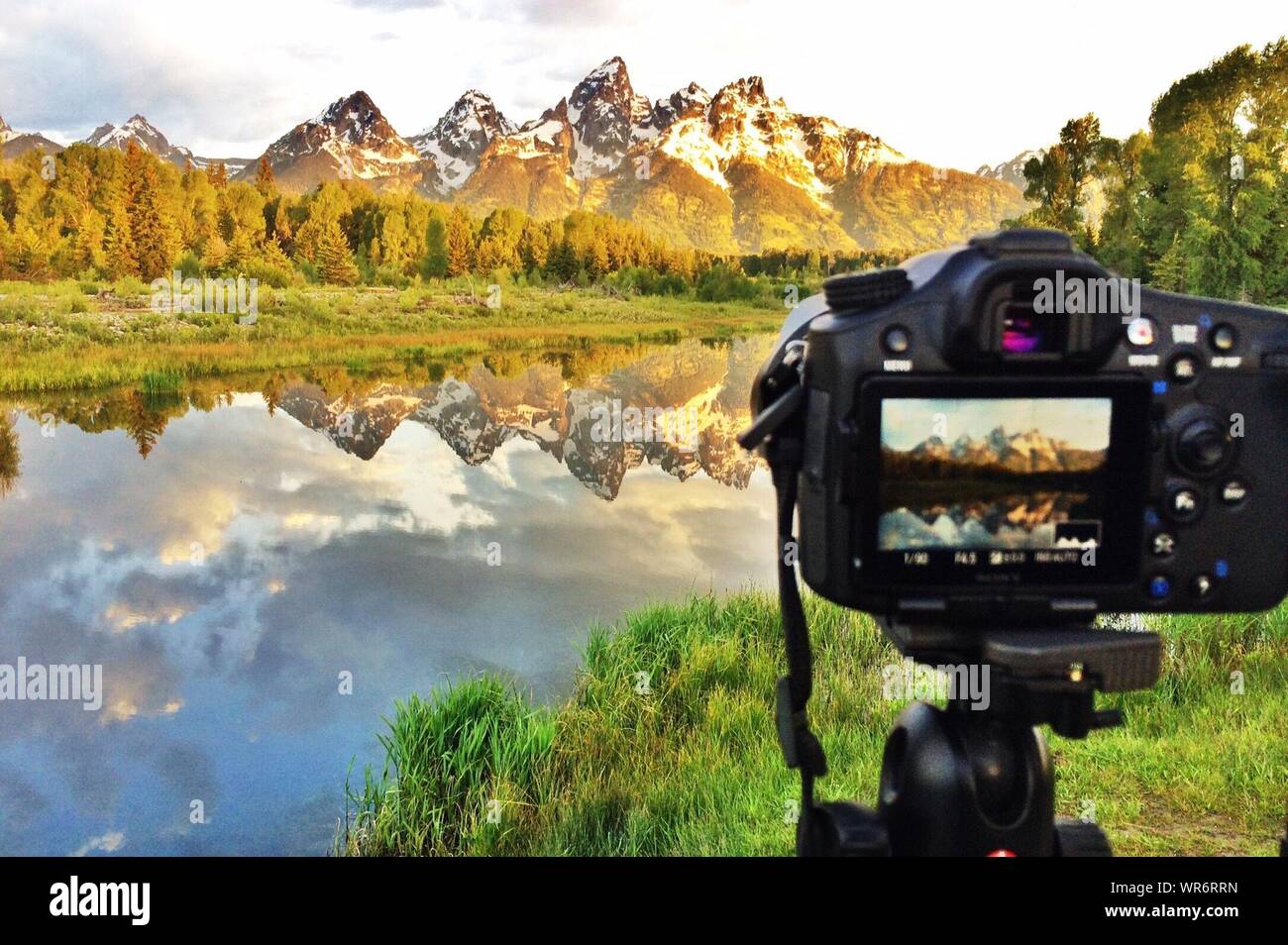 Slr camera screen hi-res stock photography and images - Alamy