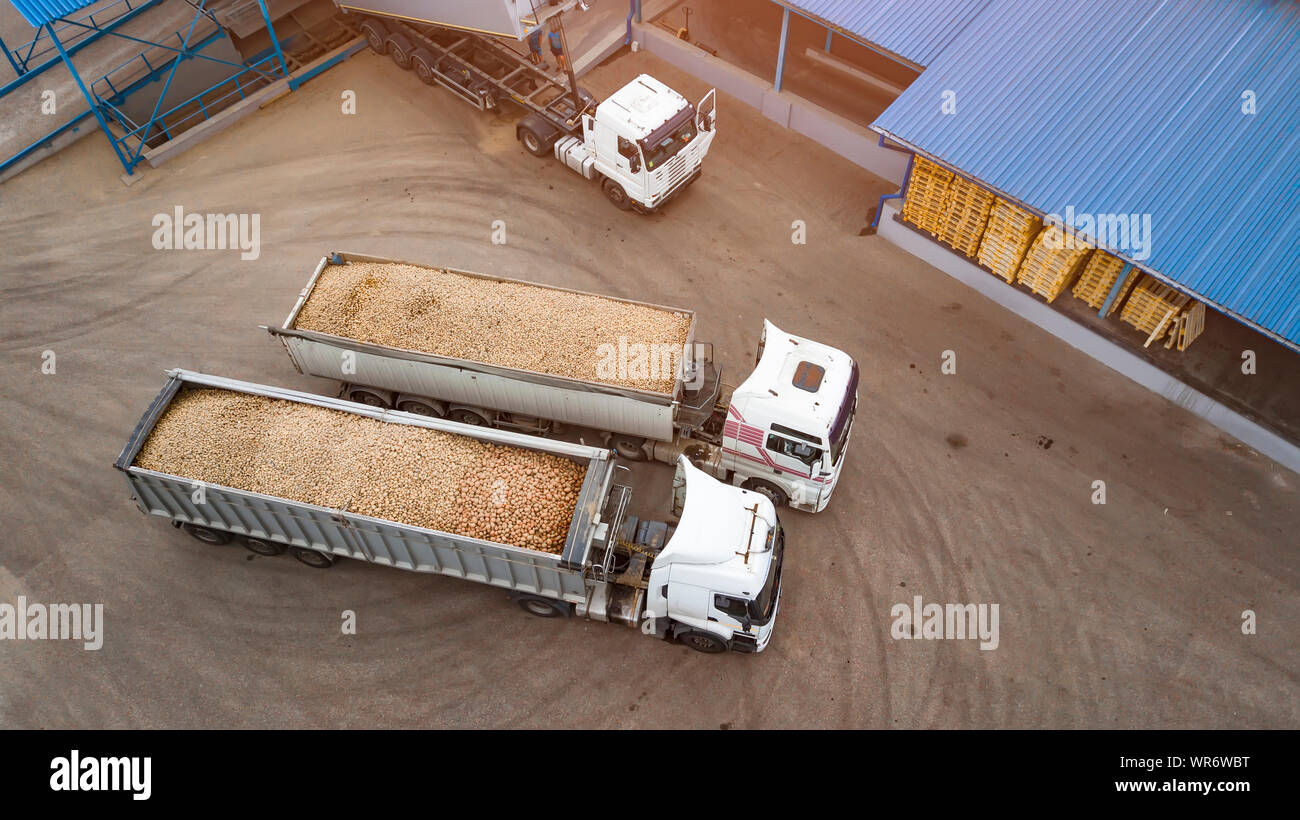 trucks with potatoes at the potato processing factory top view Stock ...