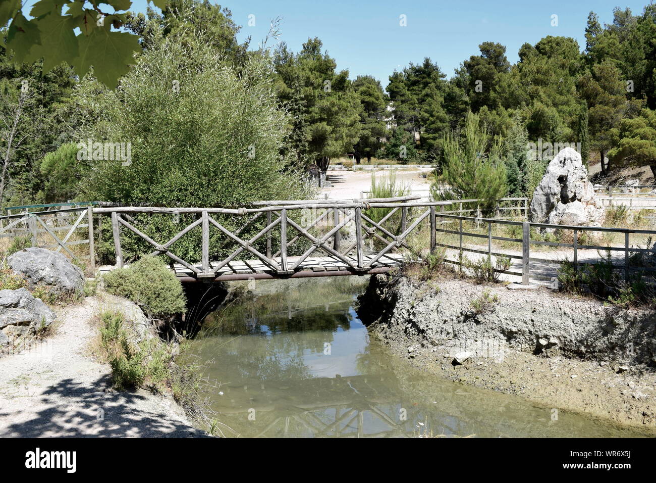 trees, plants, forest, landscape, wood, bridge, lake Stock Photo - Alamy