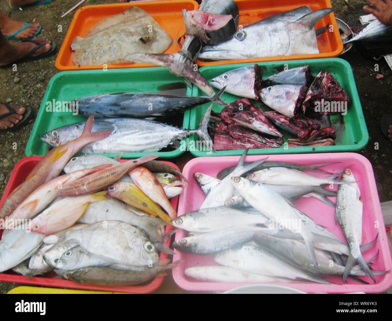 Plastic food trays hi-res stock photography and images - Alamy