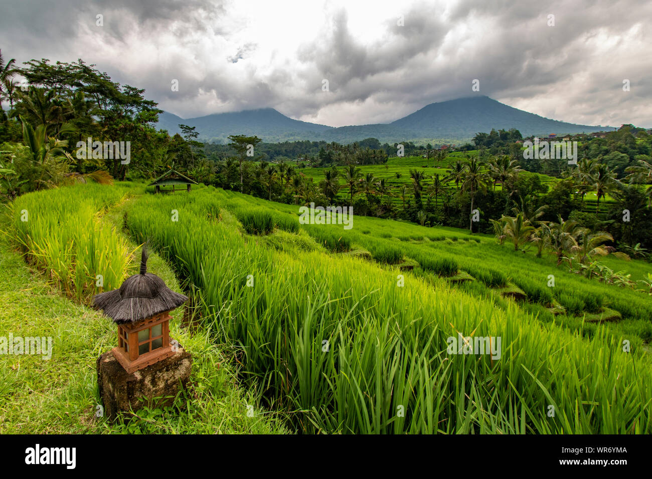 Slow nature travel hi-res stock photography and images - Alamy