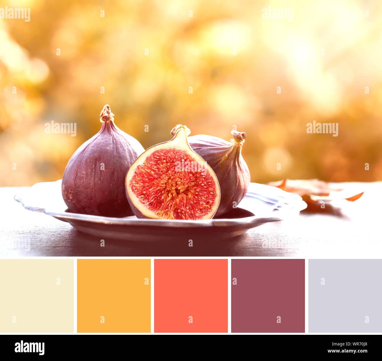 Color matching palette from top view image with fresh figs on dark ...