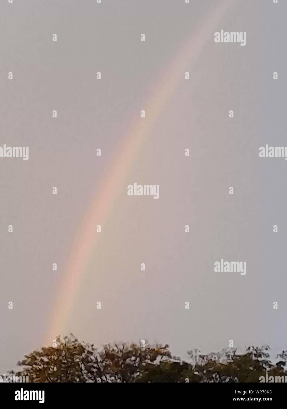 Rainbow over tree hi-res stock photography and images - Alamy
