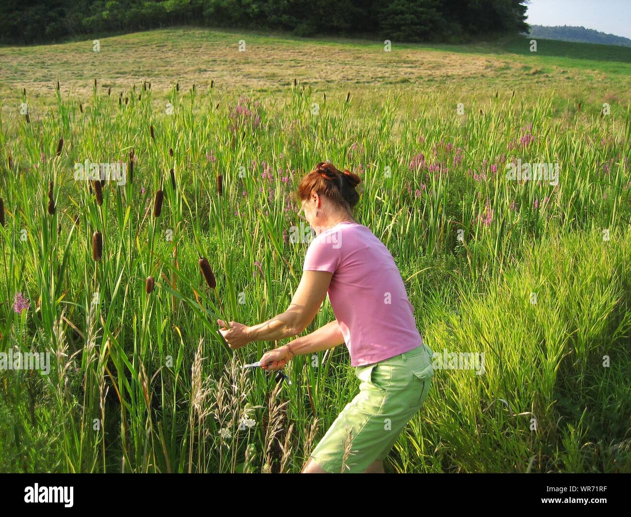 Farmer cutting crop hi-res stock photography and images - Alamy