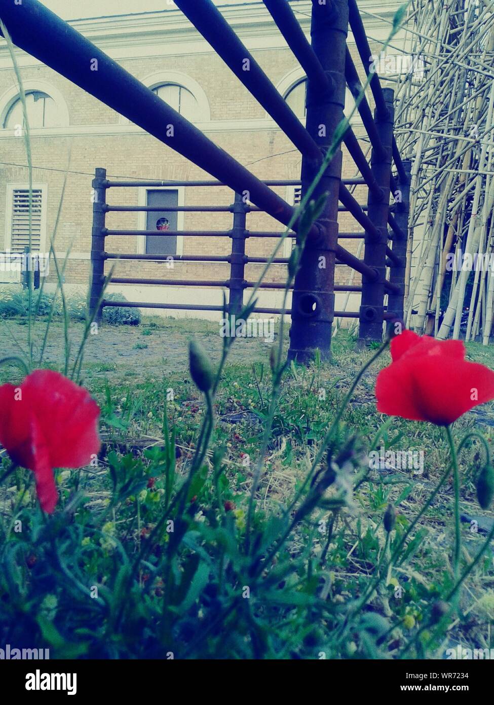 The Poppy Building High Resolution Stock Photography and Images - Alamy