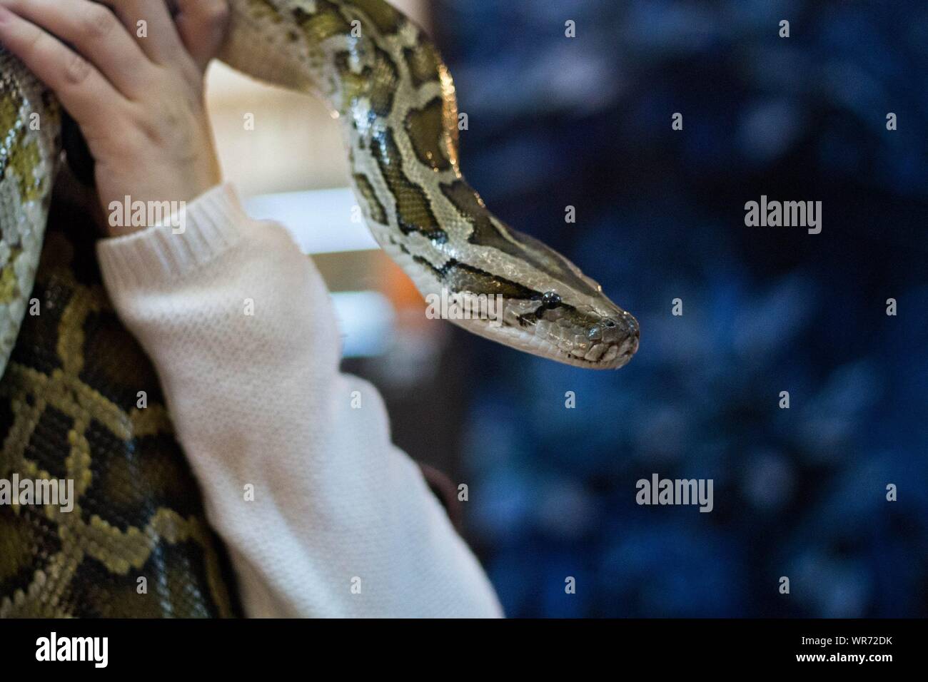 Human animal touching hi-res stock photography and images - Alamy