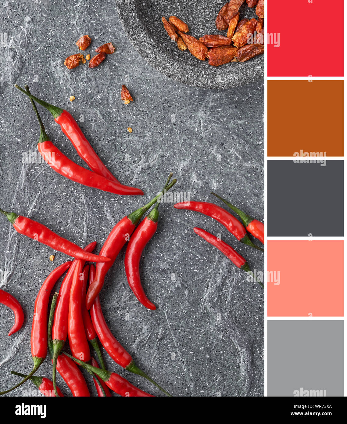 Color matching palette from top view image of chili peppers on grey ...