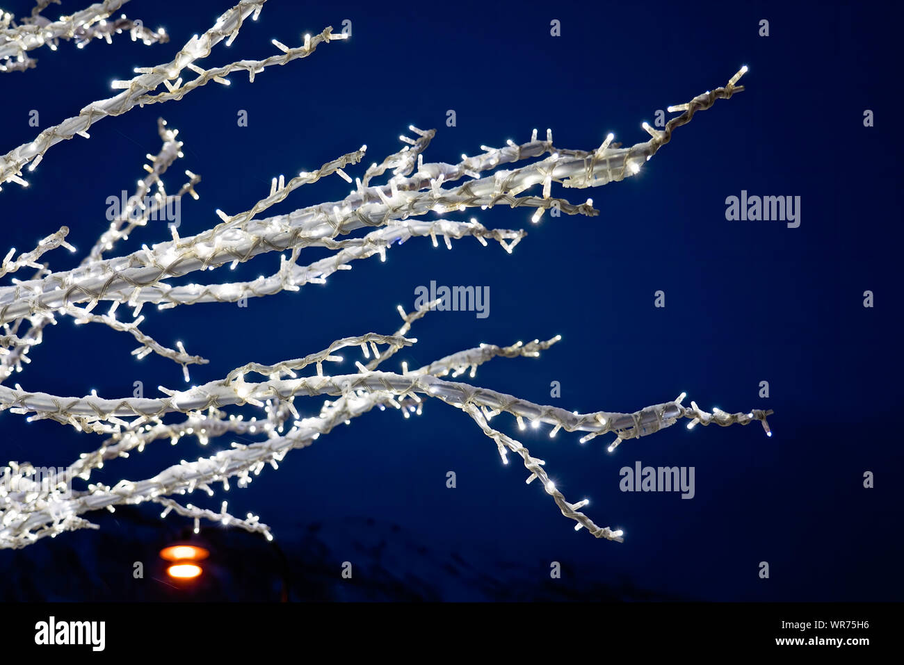 Winter tree with lights and decorations, Tromso town, Northern Norway ...