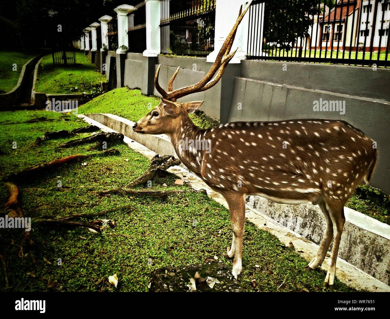 Standing axis hi-res stock photography and images - Alamy