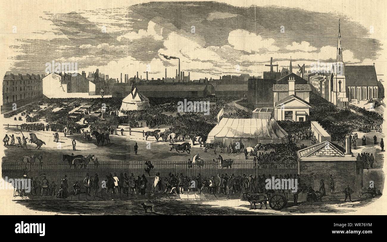 Agricultural Society show, Haymarket, Great Homer Street, Liverpool ...