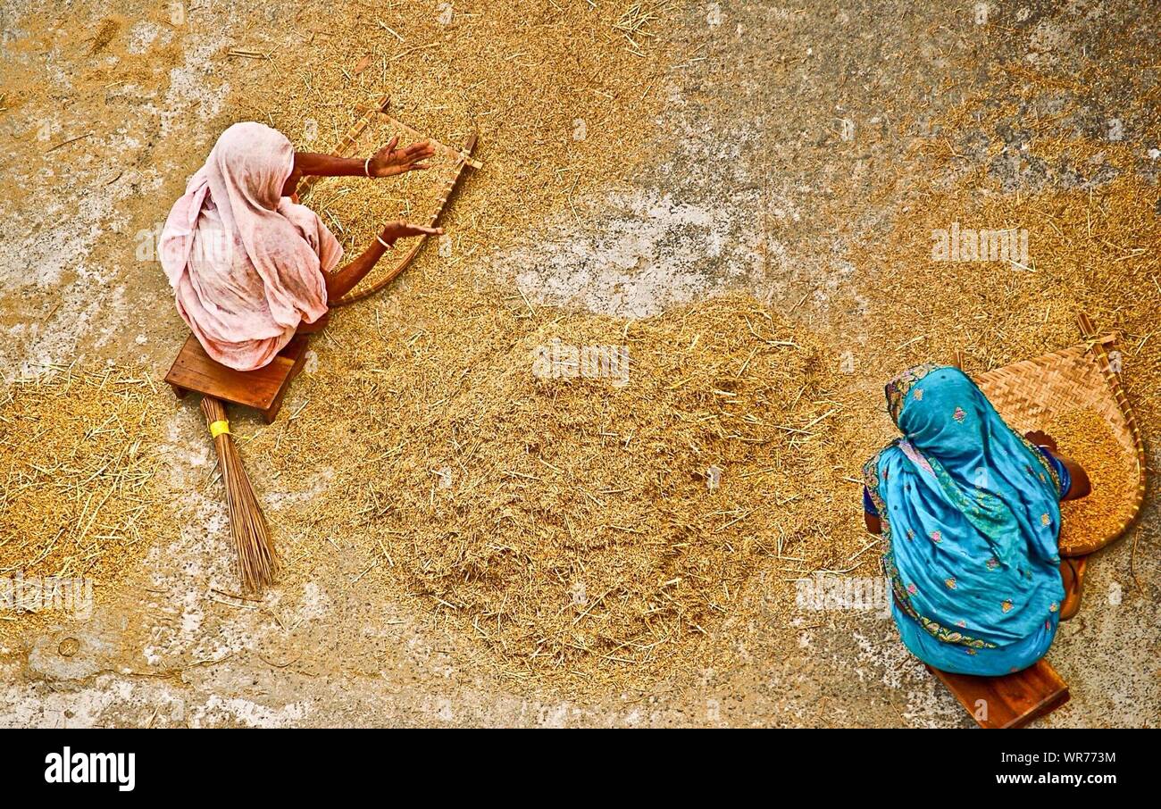 Manual threshing hi-res stock photography and images - Alamy