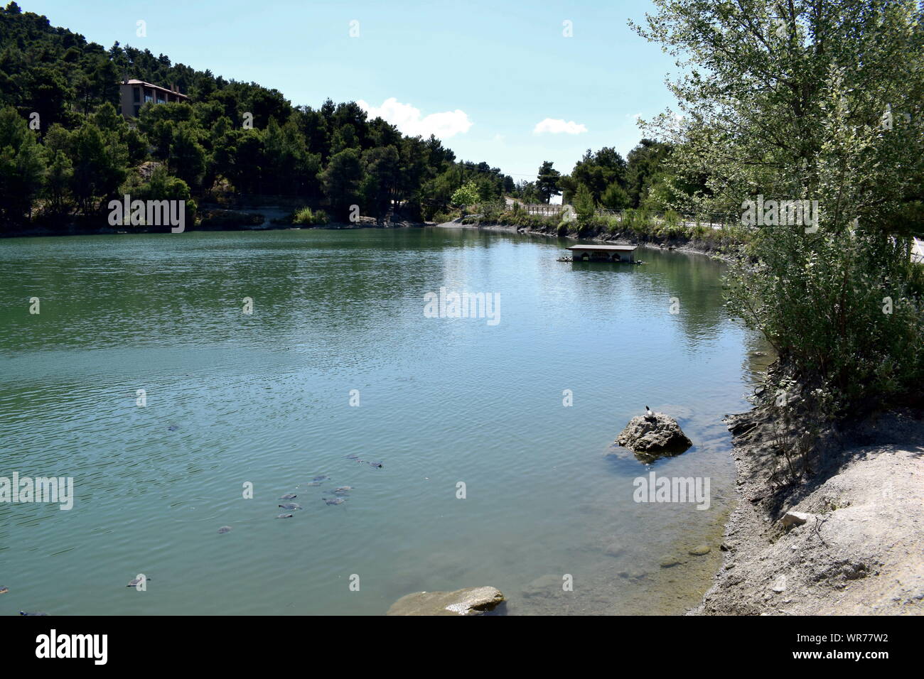 trees, plants, forest, landscape, wood, bridge, lake Stock Photo - Alamy