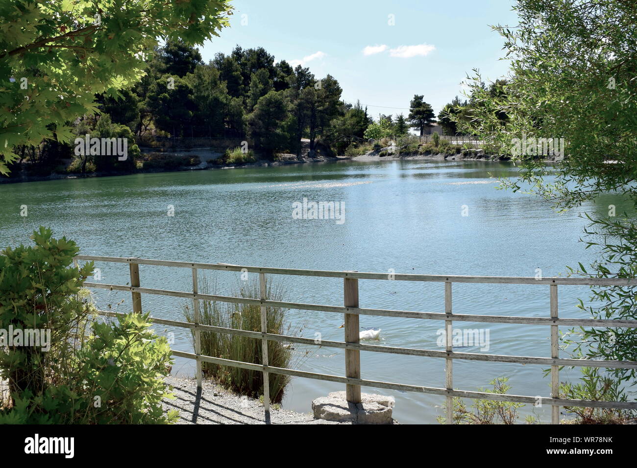 trees, plants, forest, landscape, wood, bridge, lake Stock Photo - Alamy