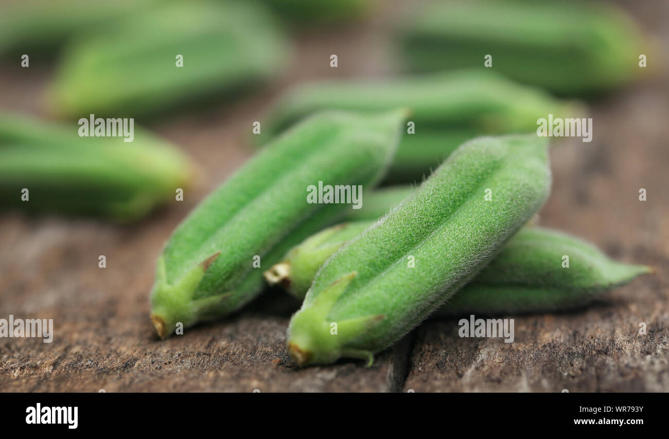Sesame seed pods and plant hi-res stock photography and images - Alamy