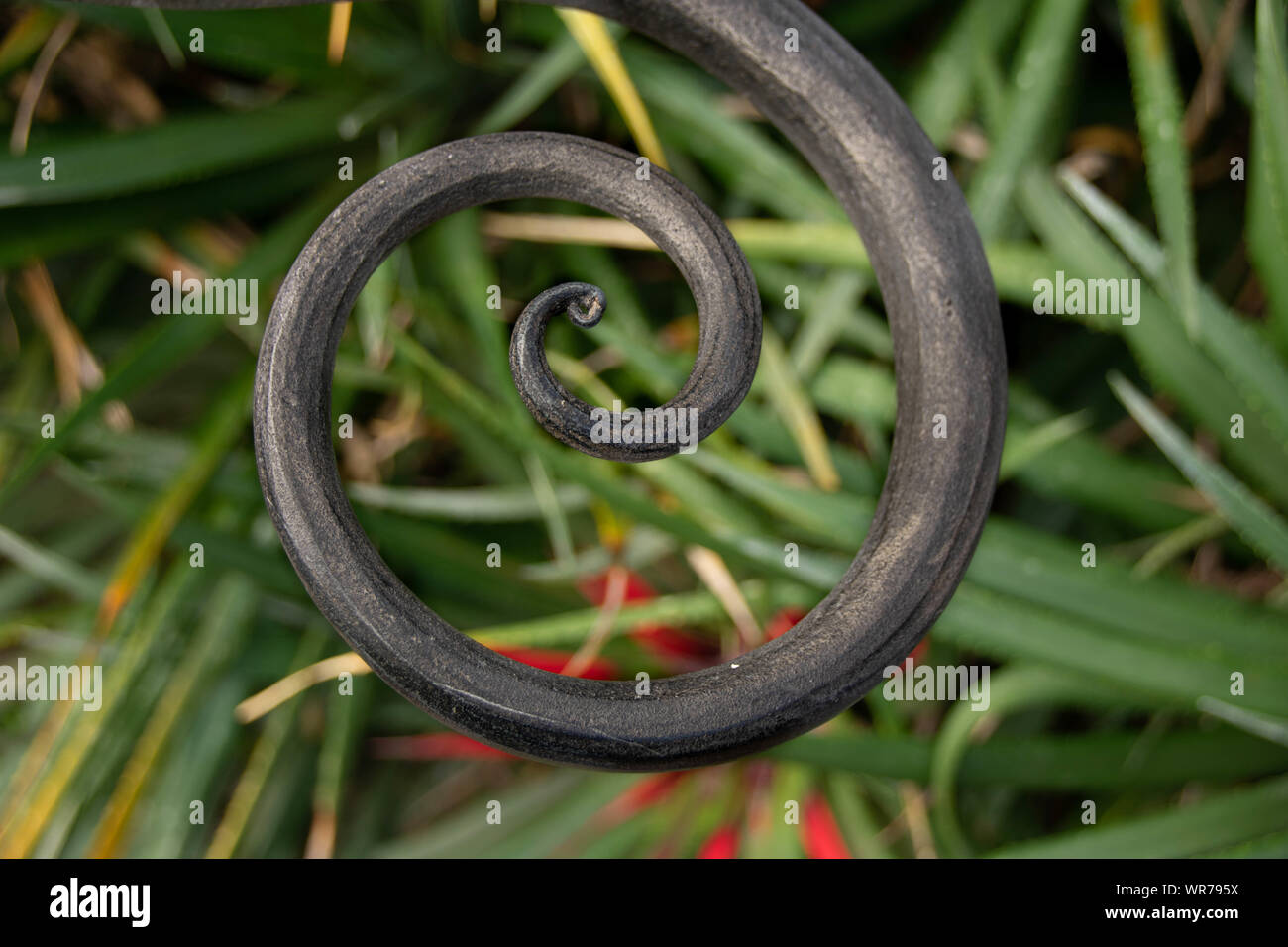 Serpent shape hi-res stock photography and images - Alamy