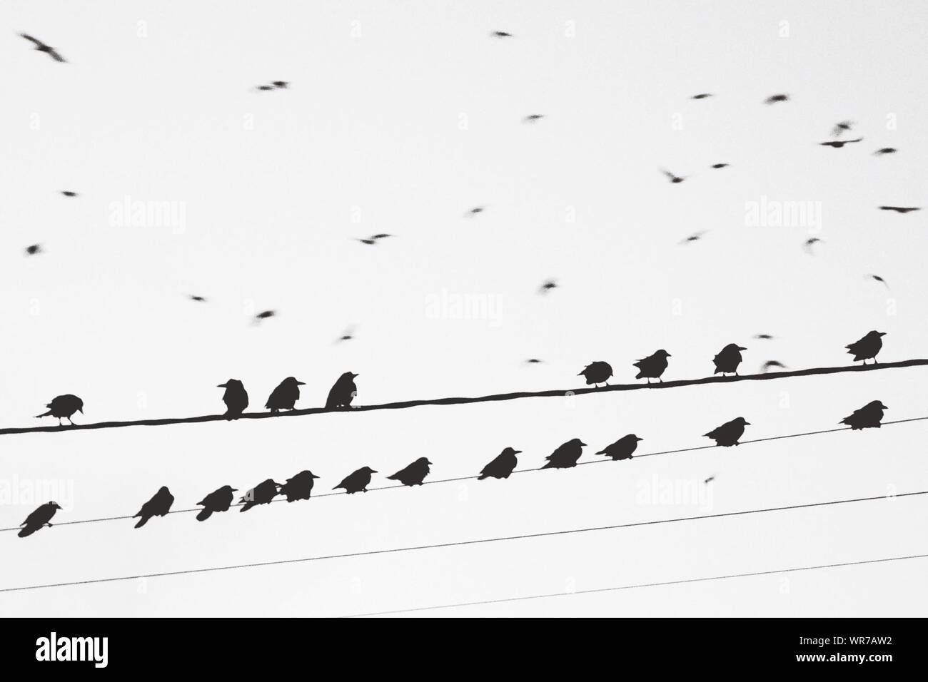 Electric wire hi-res stock photography and images - Alamy
