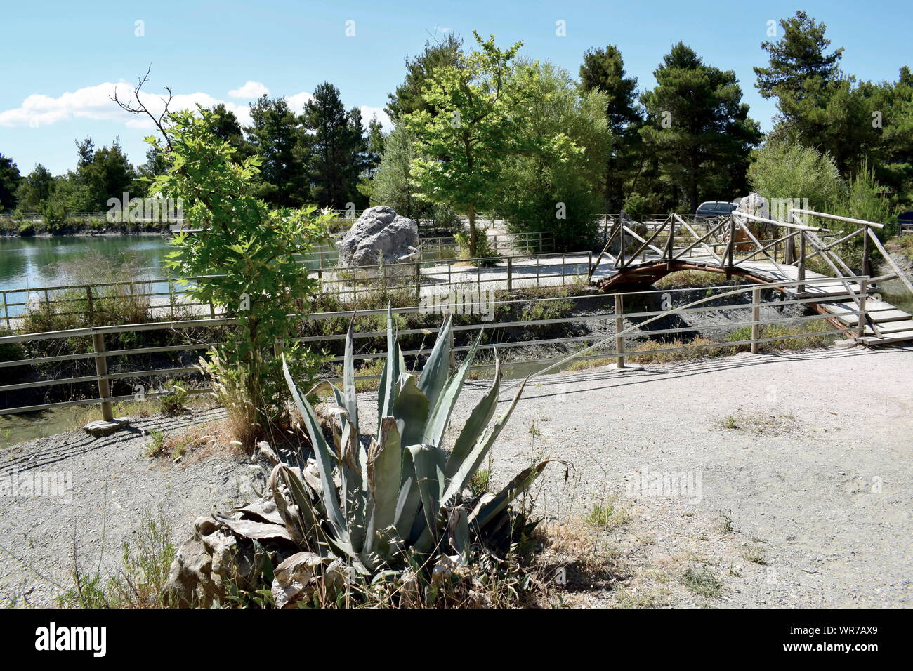 trees, plants, forest, landscape, wood, bridge, lake Stock Photo - Alamy