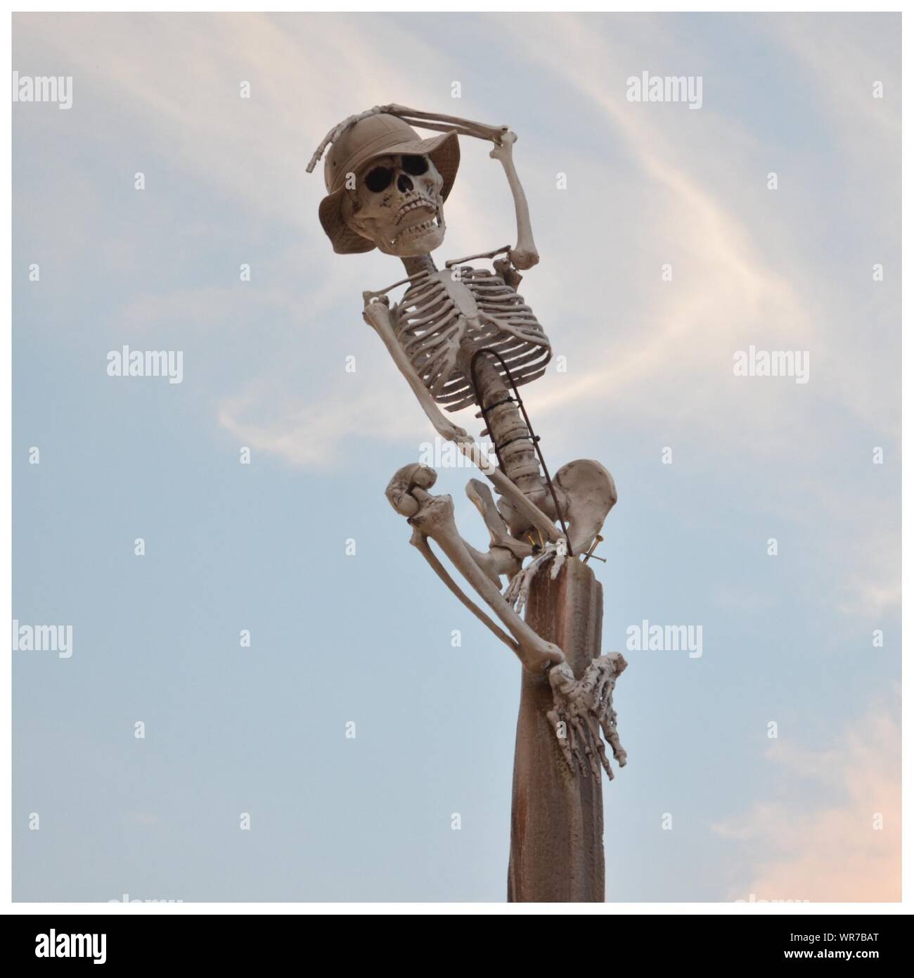 Halloween post it hi-res stock photography and images - Alamy