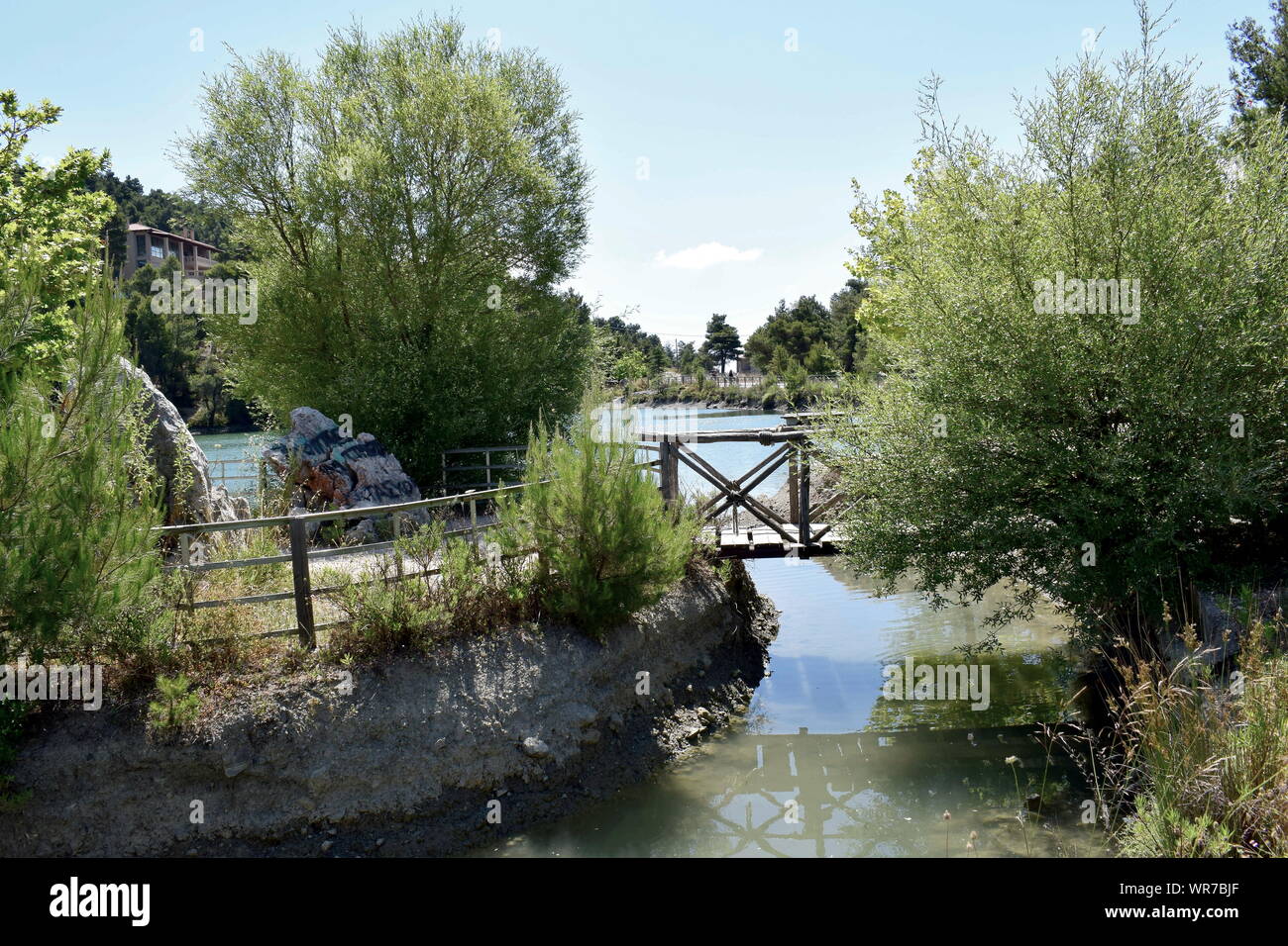 trees, plants, forest, landscape, wood, bridge, lake Stock Photo - Alamy