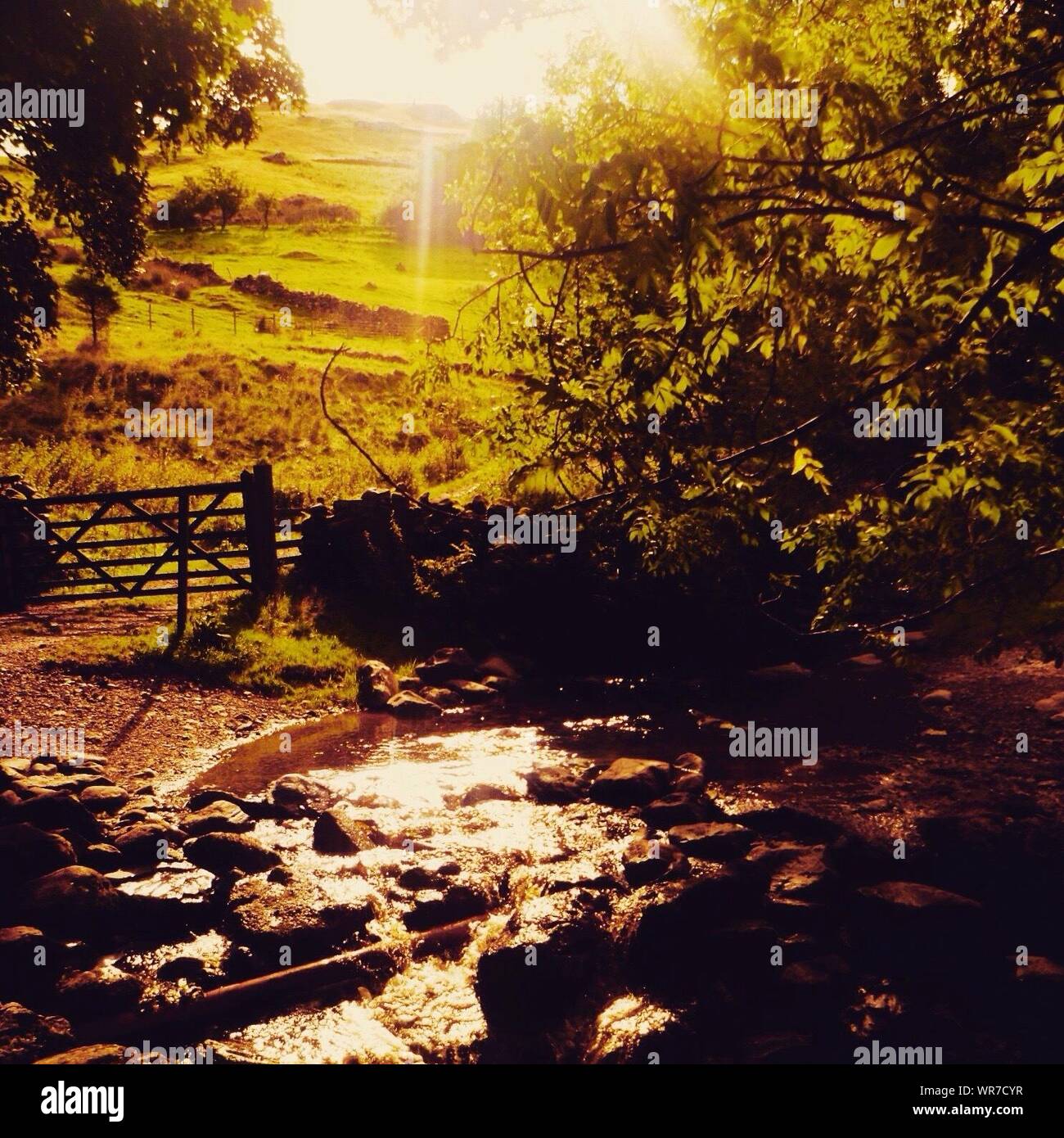 Stream idyllic hi-res stock photography and images - Alamy