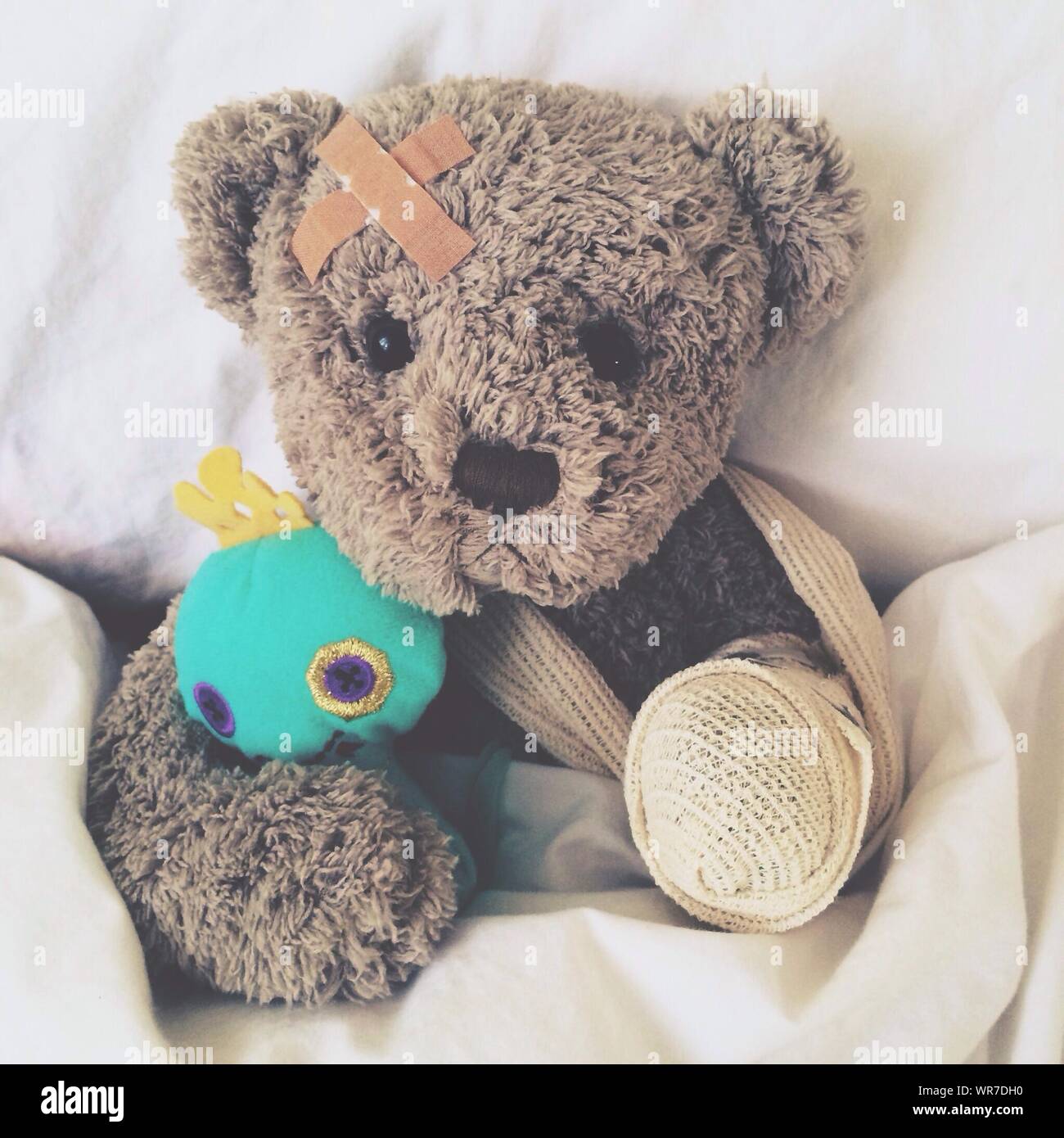 Bad teddy bear hi-res stock photography and images - Alamy