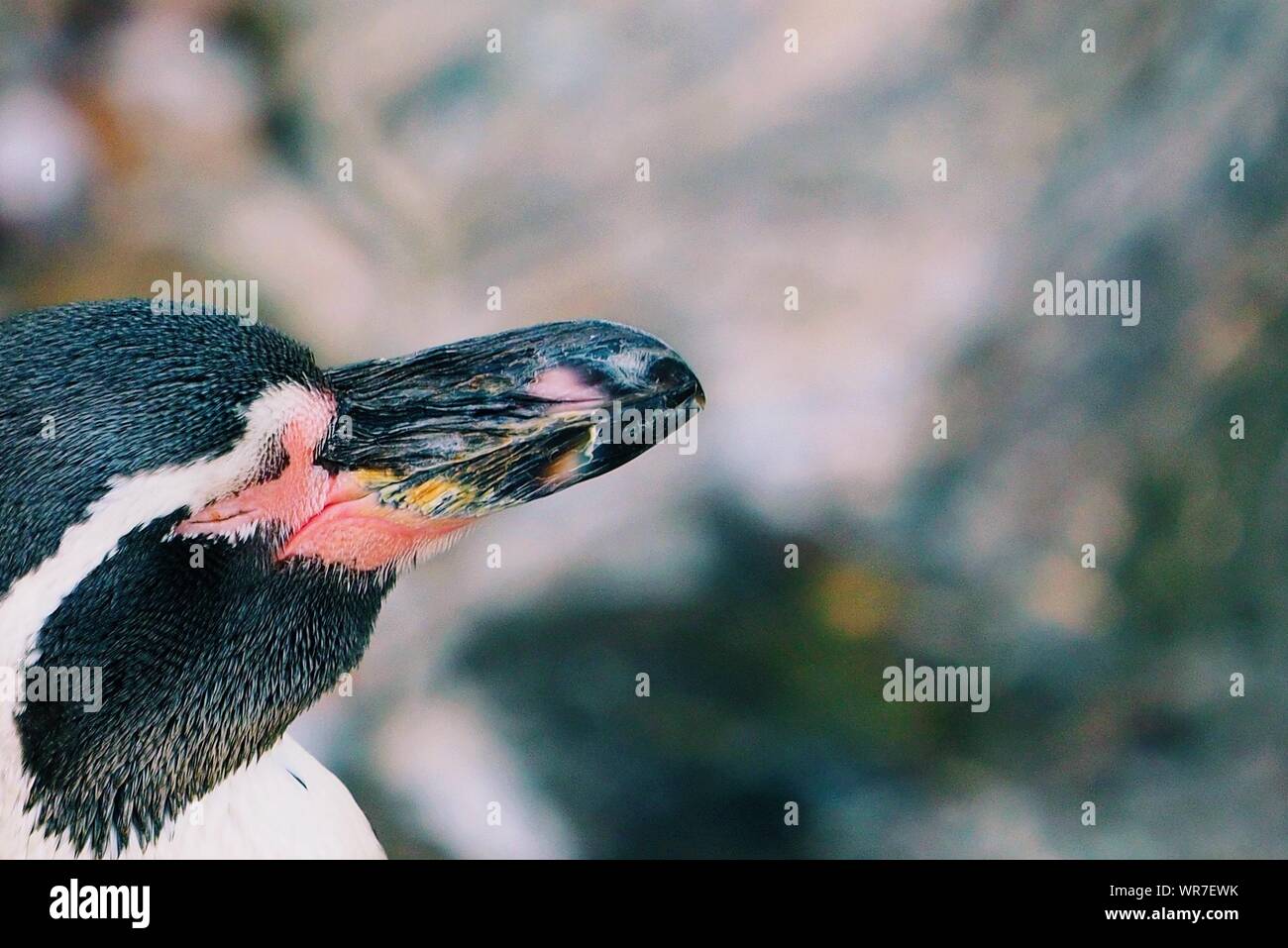 Closed angle view hi-res stock photography and images - Alamy