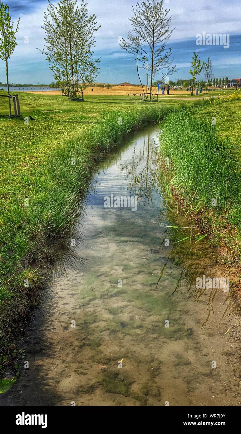 Field stream farm hi-res stock photography and images - Alamy