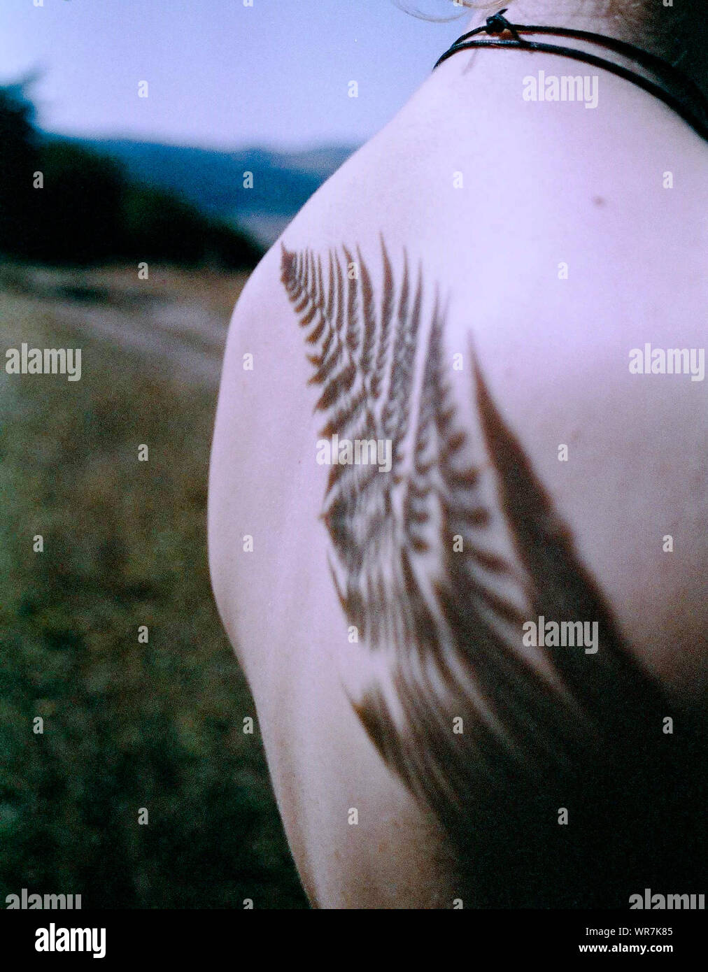 Back shadow hi-res stock photography and images - Alamy