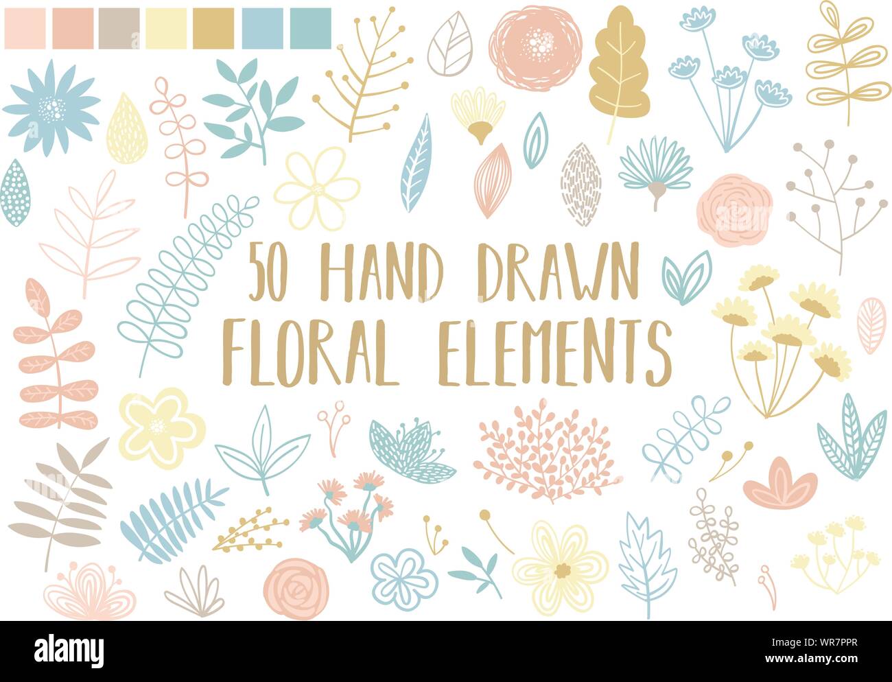 Vector image of hand-drawn floral elements on a light background ...