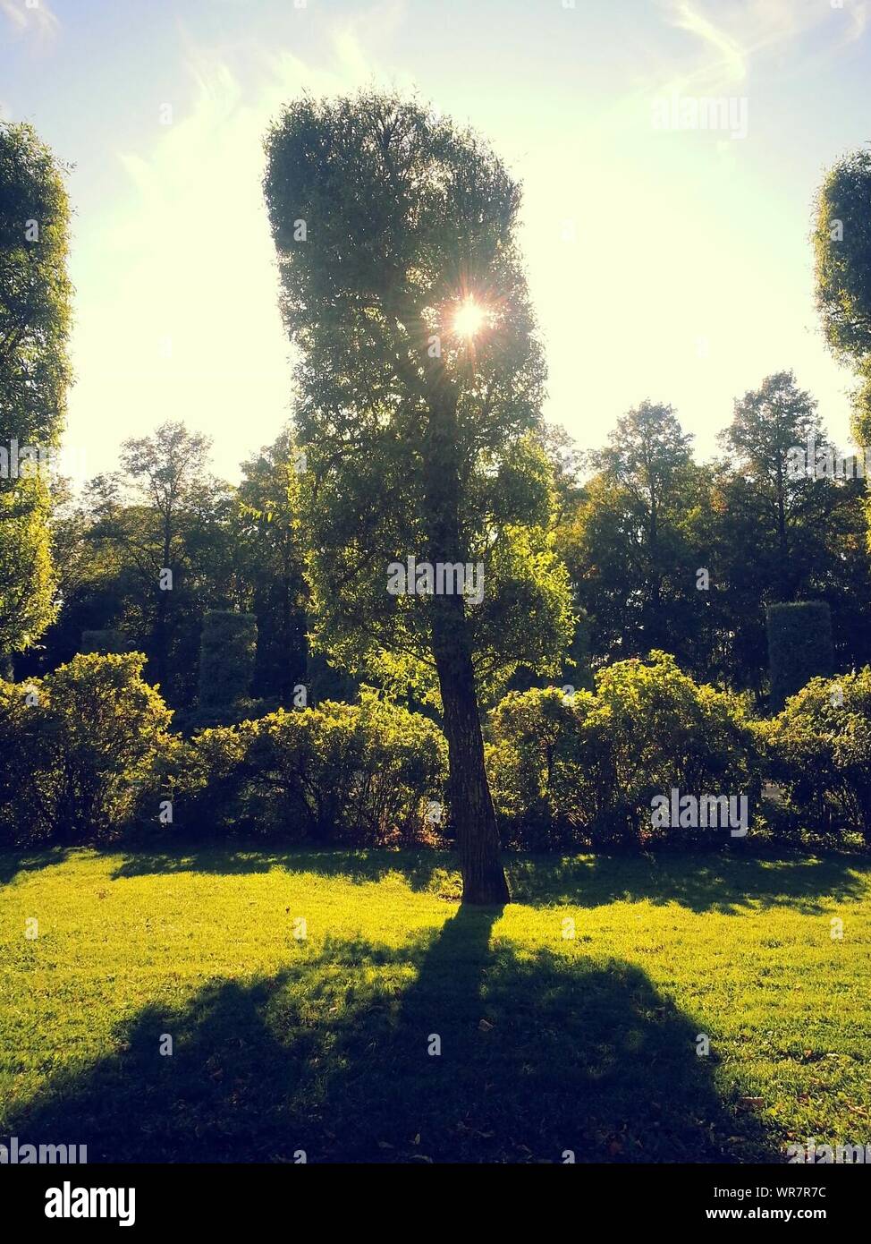 Sun filter through hi-res stock photography and images - Alamy