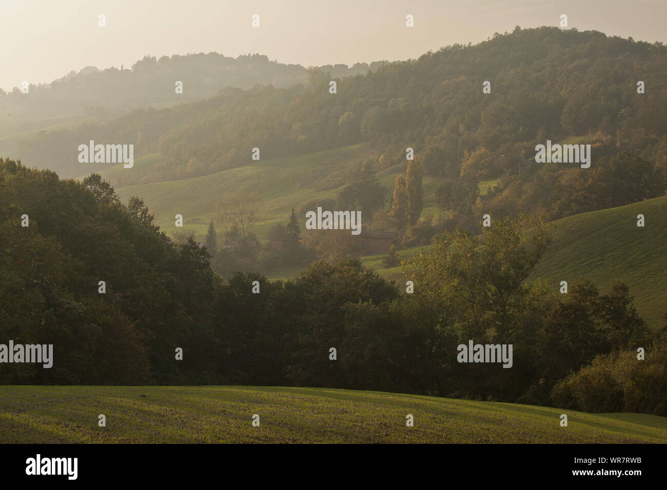 Rolling mist hi-res stock photography and images - Alamy