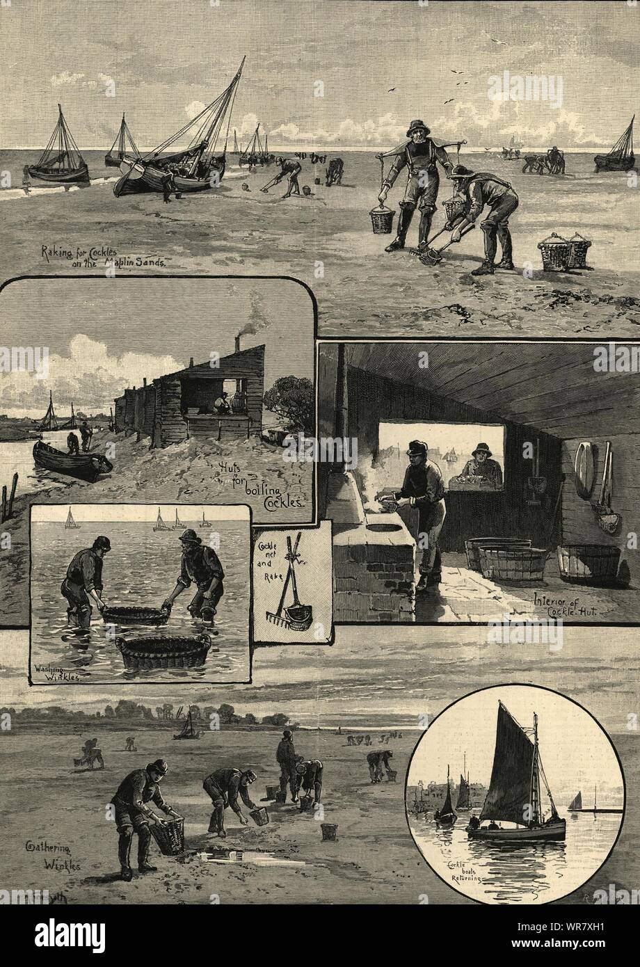 Maplin sands essex hi-res stock photography and images - Alamy