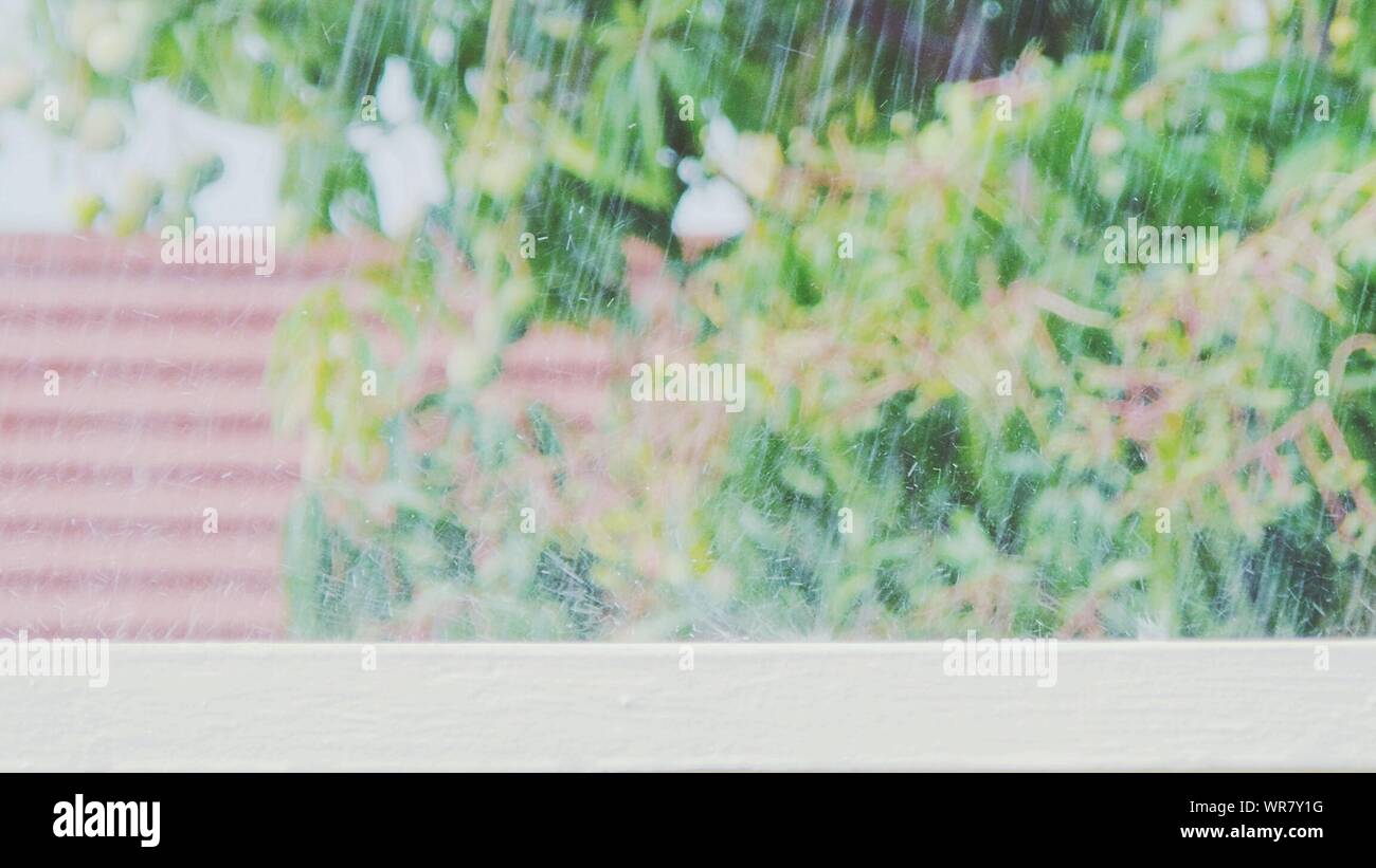 Rain On Roof Window High Resolution Stock Photography and Images - Alamy