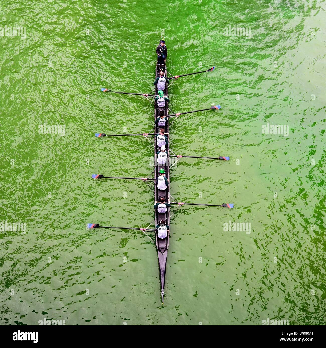 Team Rowing High Resolution Stock Photography and Images - Alamy
