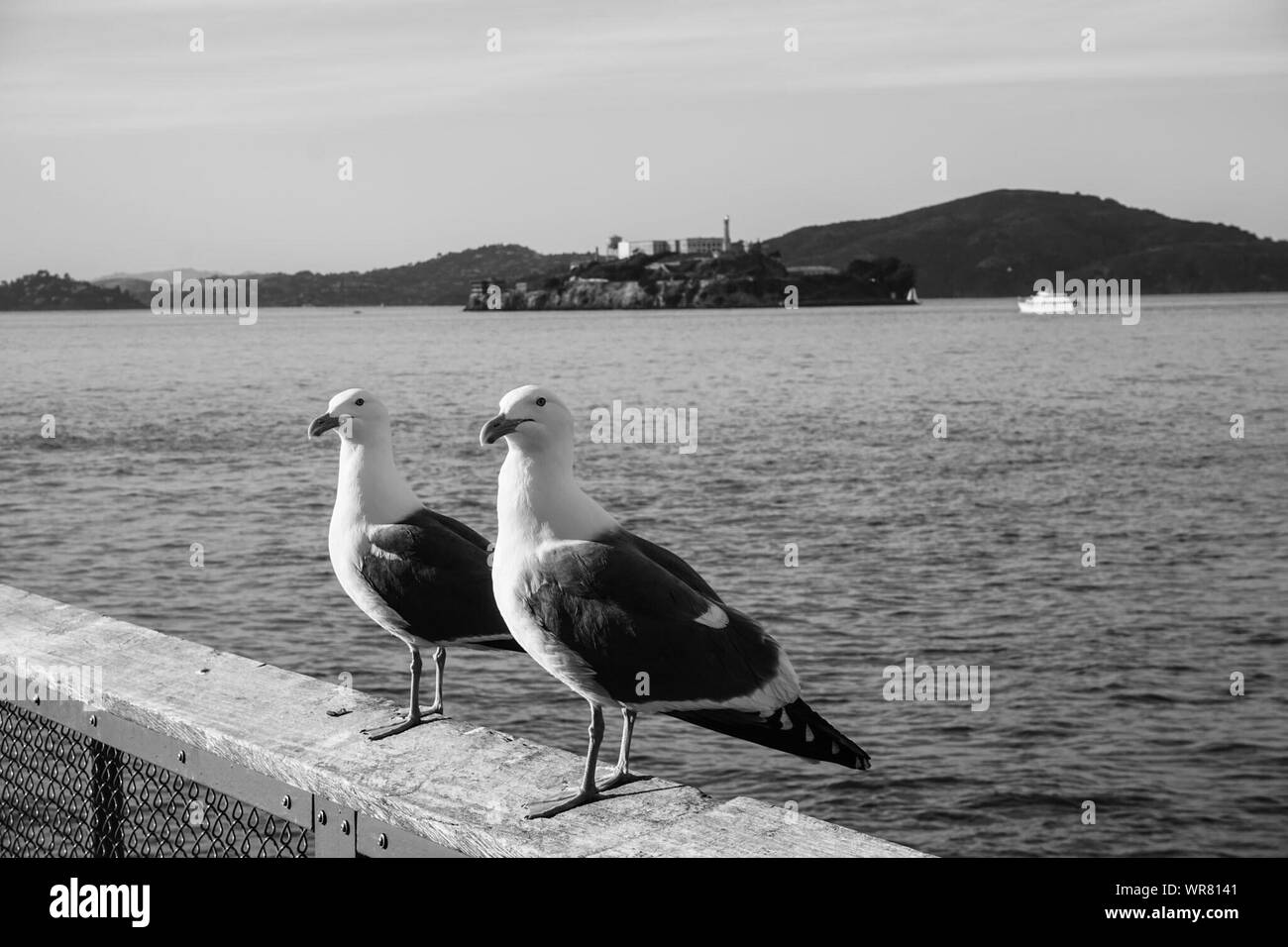 Ledge sea hi-res stock photography and images - Alamy