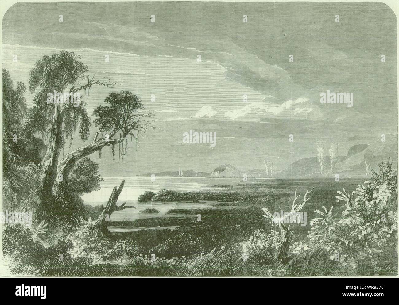 Embouchure of a river on the western coast of Madagascar 1863 antique ...