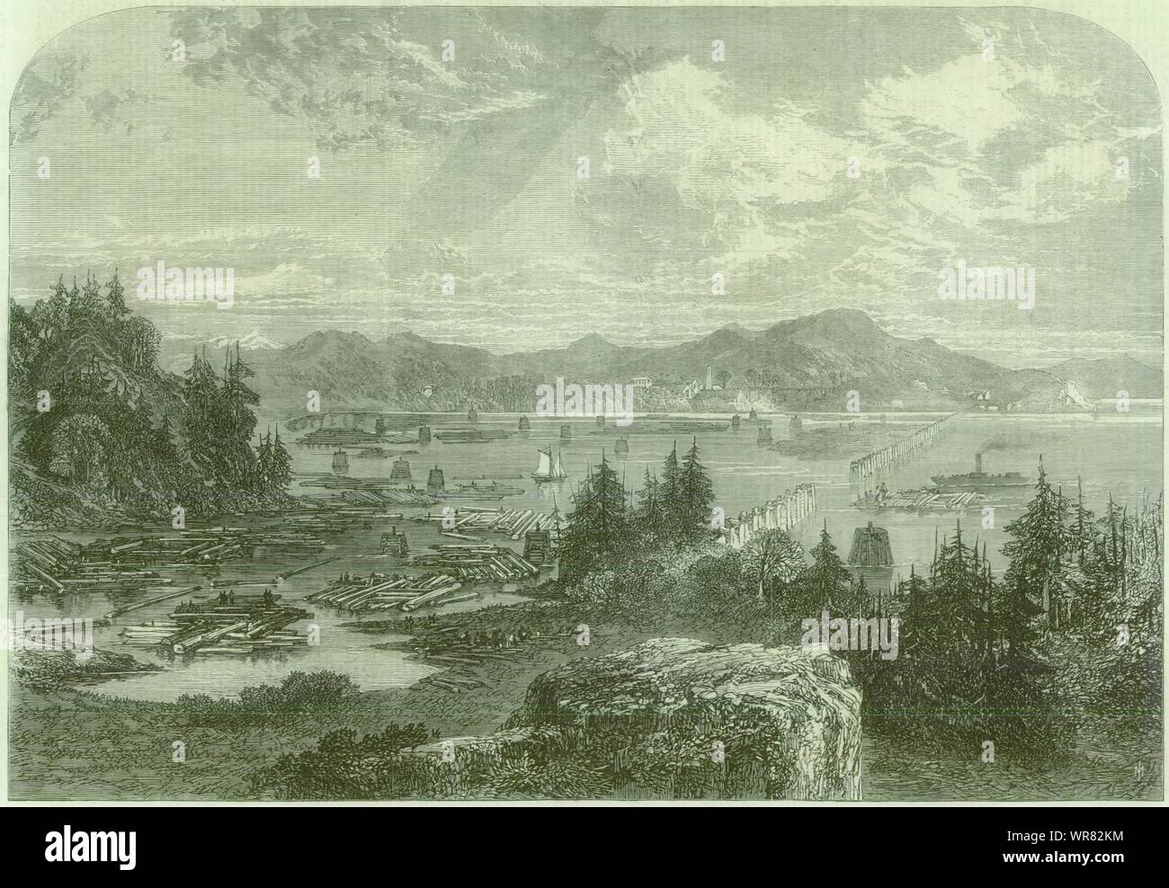 Timber booms on the St. John River, New Brunswick. Canada 1866 ILN full ...