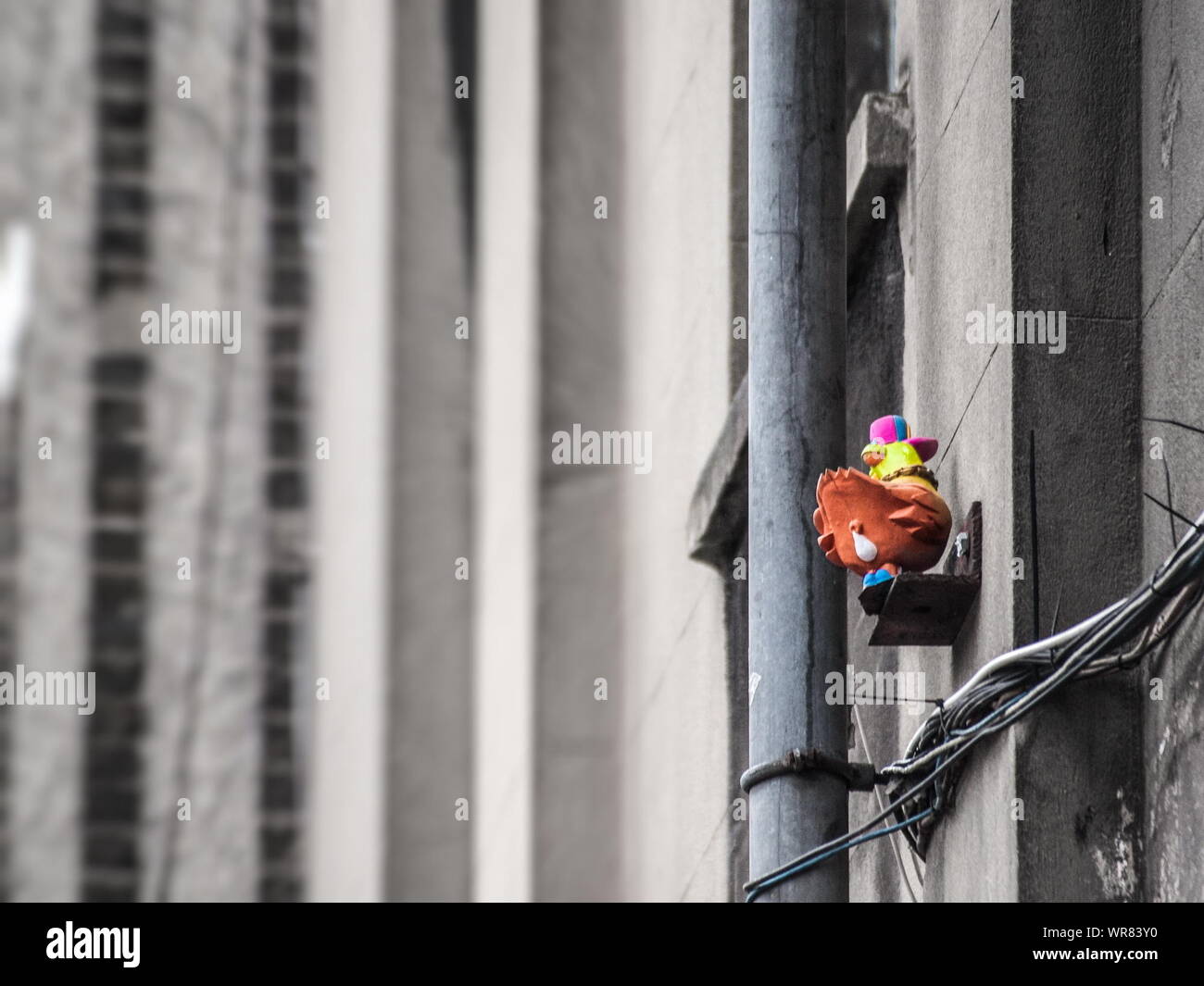 Statue with bird hi-res stock photography and images - Alamy
