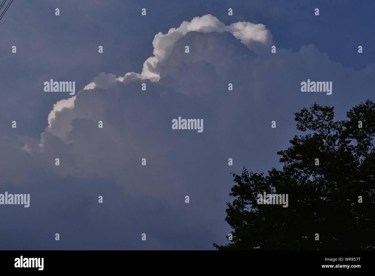 Cloud tree hi-res stock photography and images - Alamy