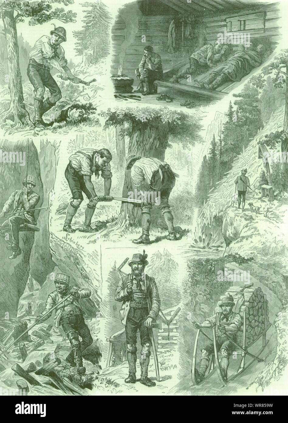 Wood cutting in the forests of Austria & Bavaria 1884 antique ILN full ...