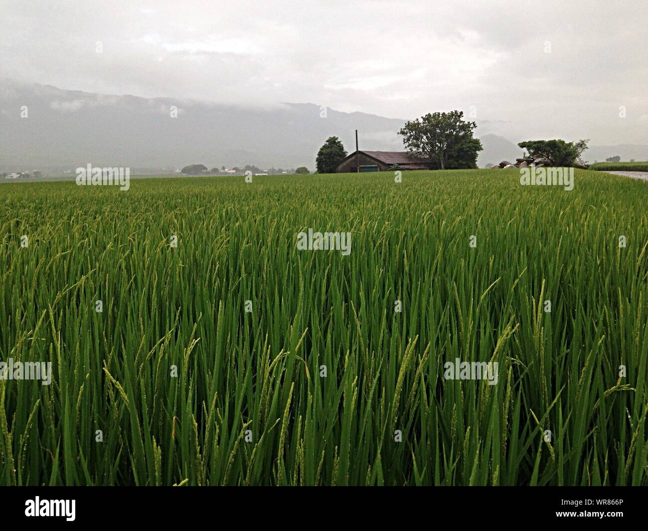 Rural structure hi-res stock photography and images - Alamy